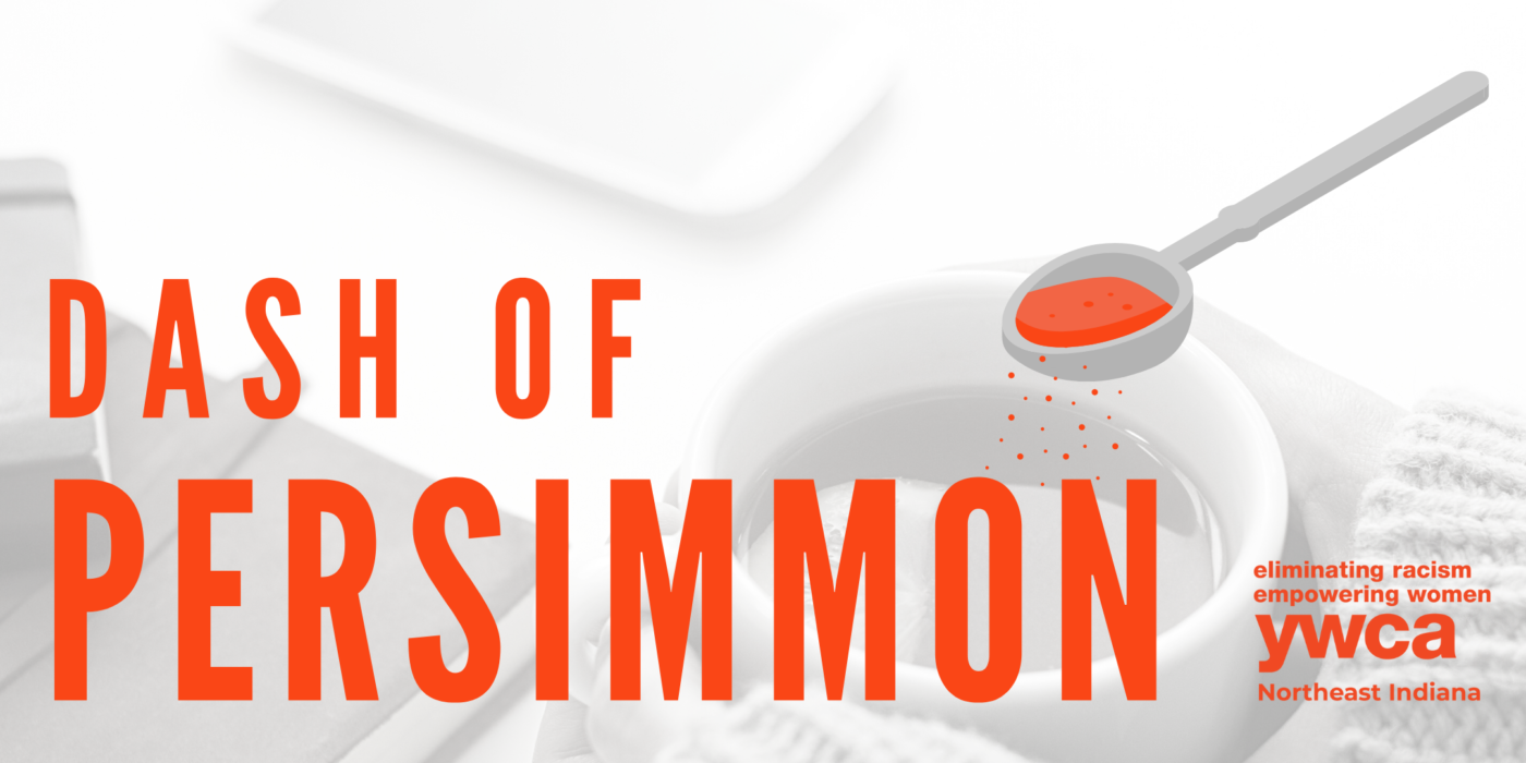 Past Campaigns and Initiatives - YWCA Northeast Indiana